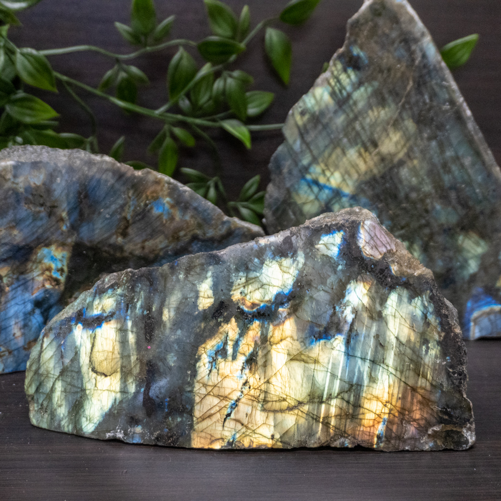 Large Random Half Polished Labradorite - The Crystal Council
