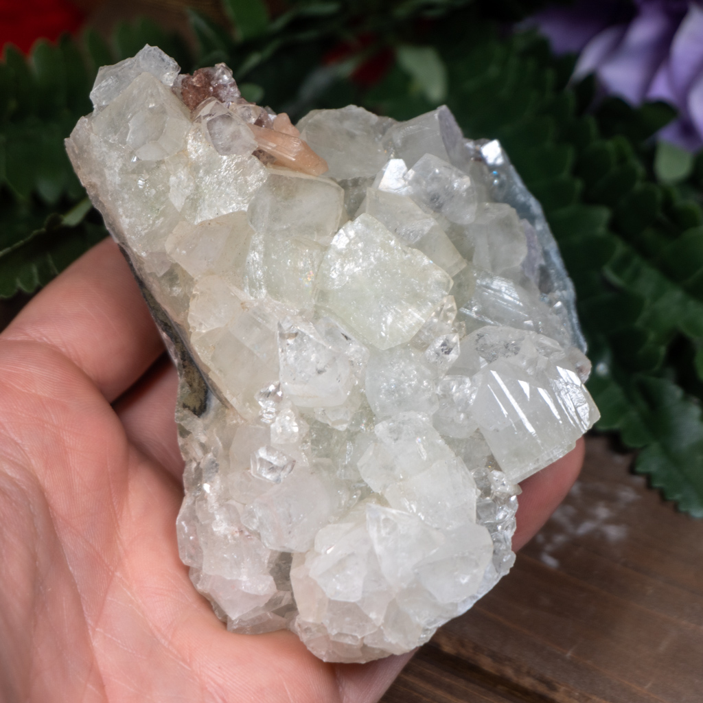 Raw Apophyllite #1 - The Crystal Council