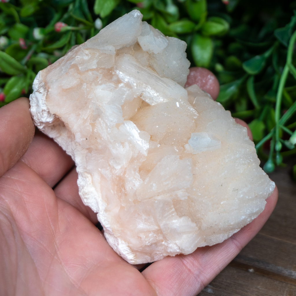 Raw Stilbite #5 - The Crystal Council