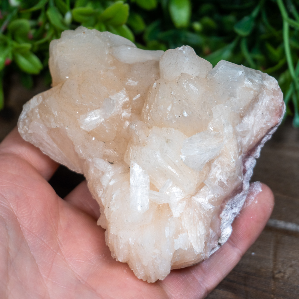 Raw Stilbite #4 - The Crystal Council