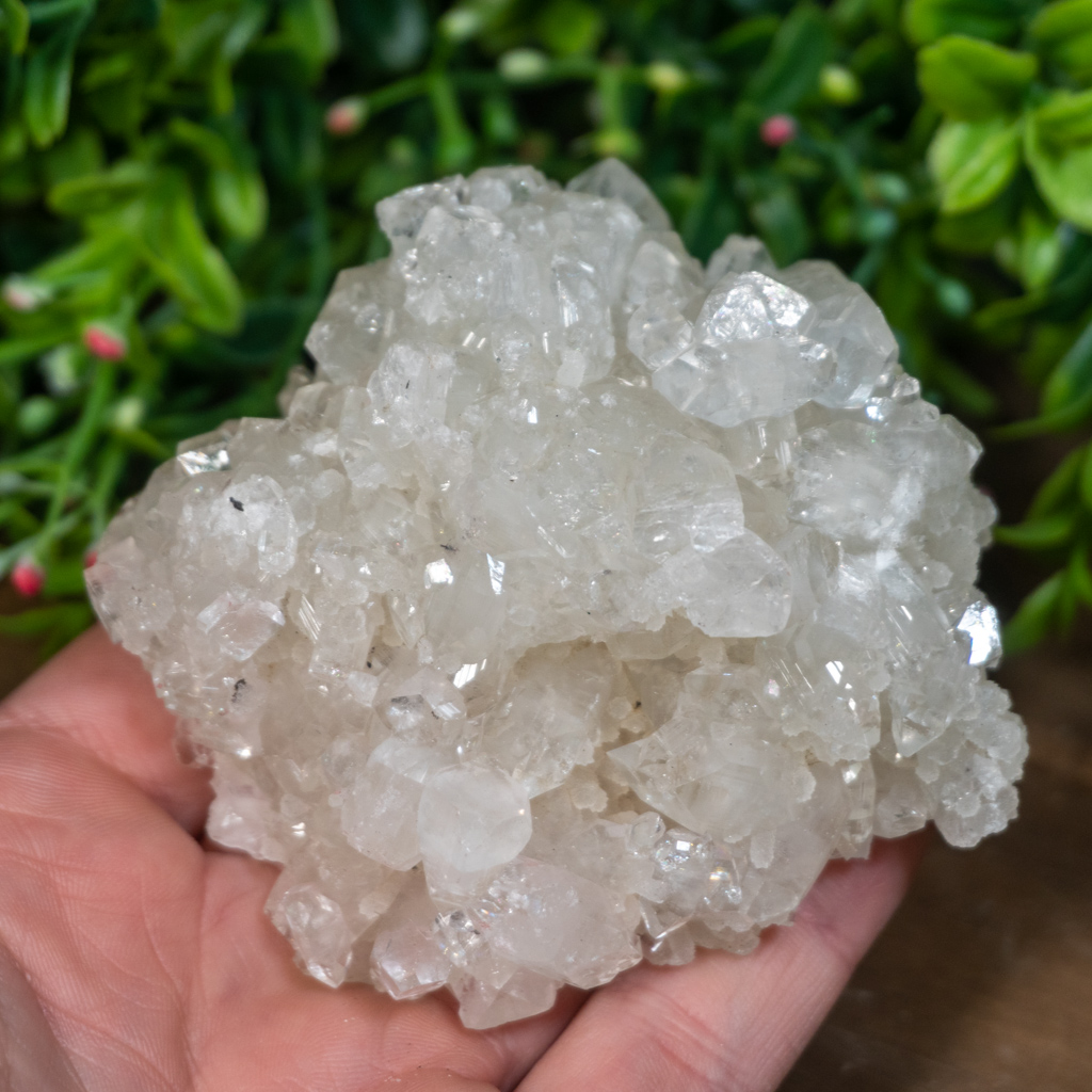 Apophyllite #9 - The Crystal Council