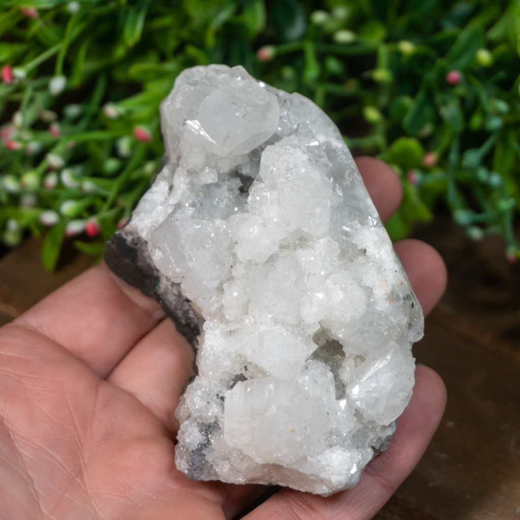 Apophyllite #7 - The Crystal Council