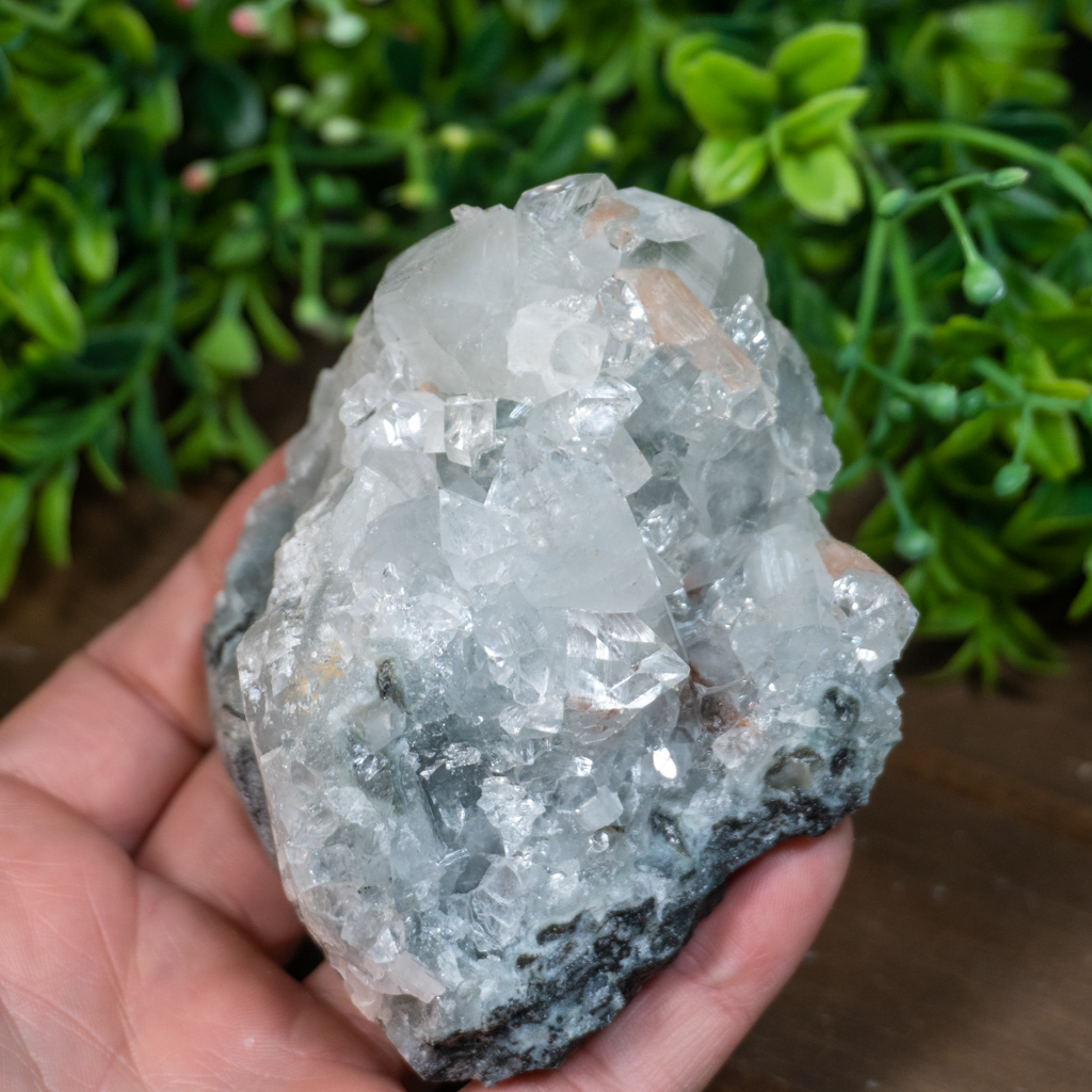 Apophyllite #4 - The Crystal Council