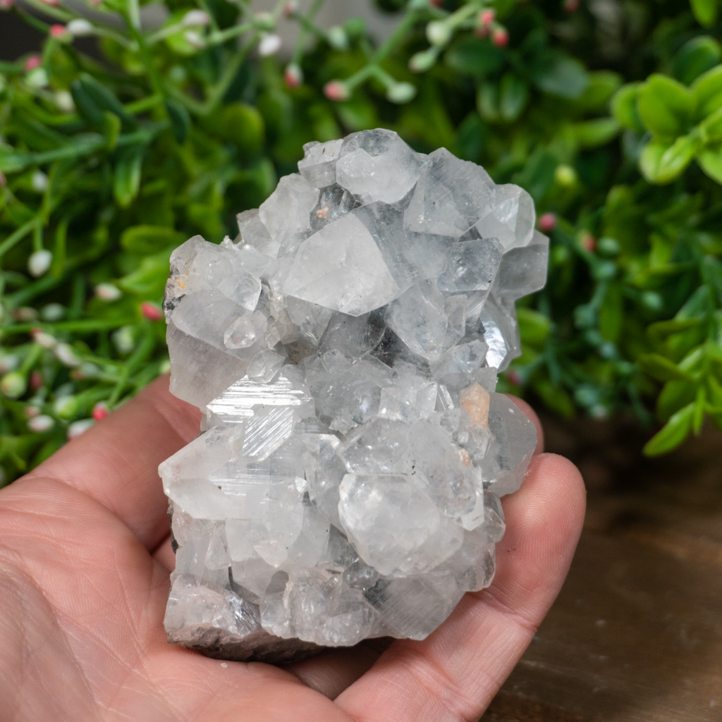 Apophyllite #3 - The Crystal Council