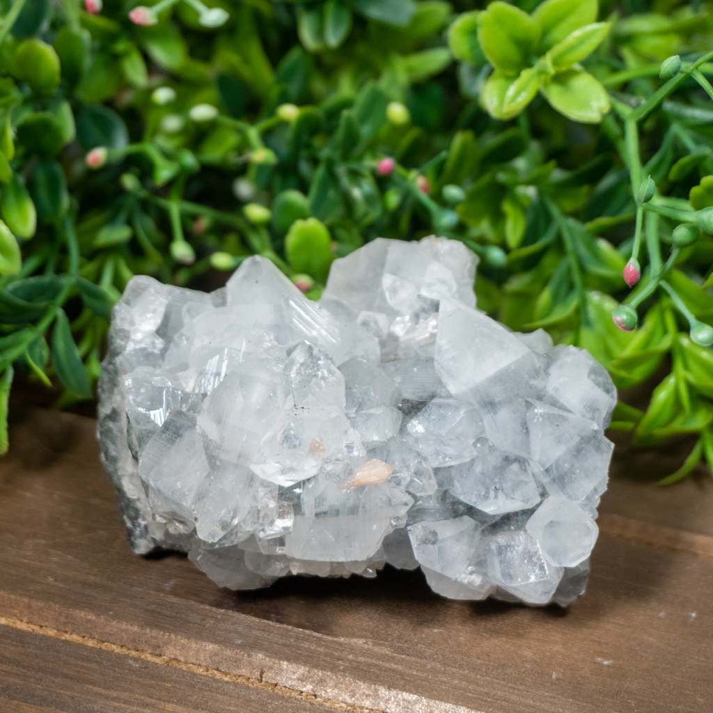 Apophyllite #3 - The Crystal Council