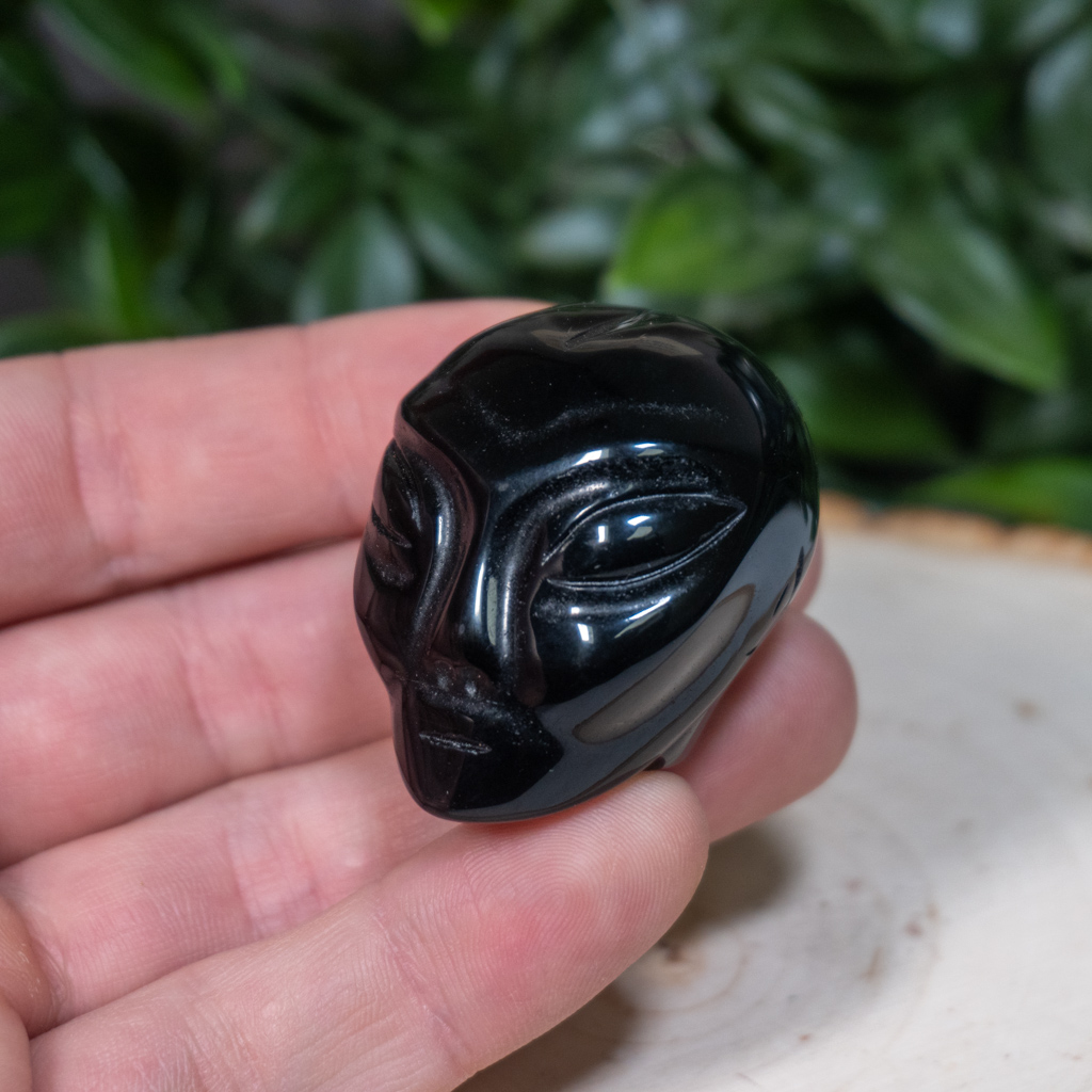 Small Obsidian Alien Head - The Crystal Council