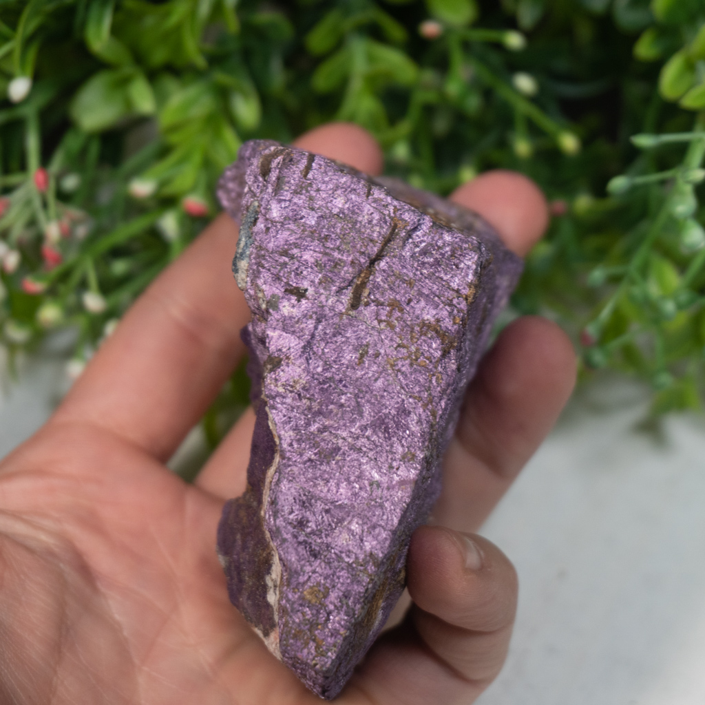 Purpurite #6 - The Crystal Council