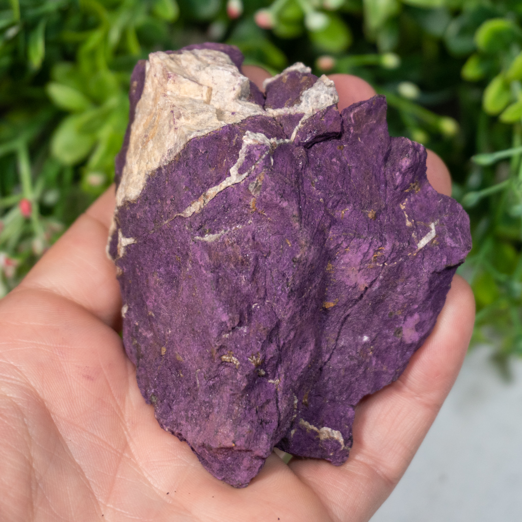 Purpurite #4 - The Crystal Council