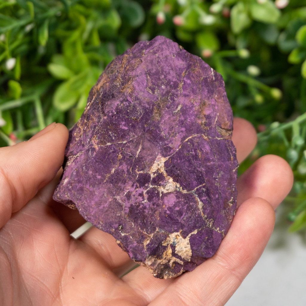 Purpurite #1 - The Crystal Council