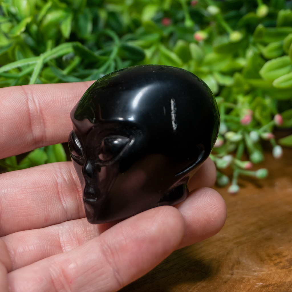 Large Obsidian Alien Head - The Crystal Council