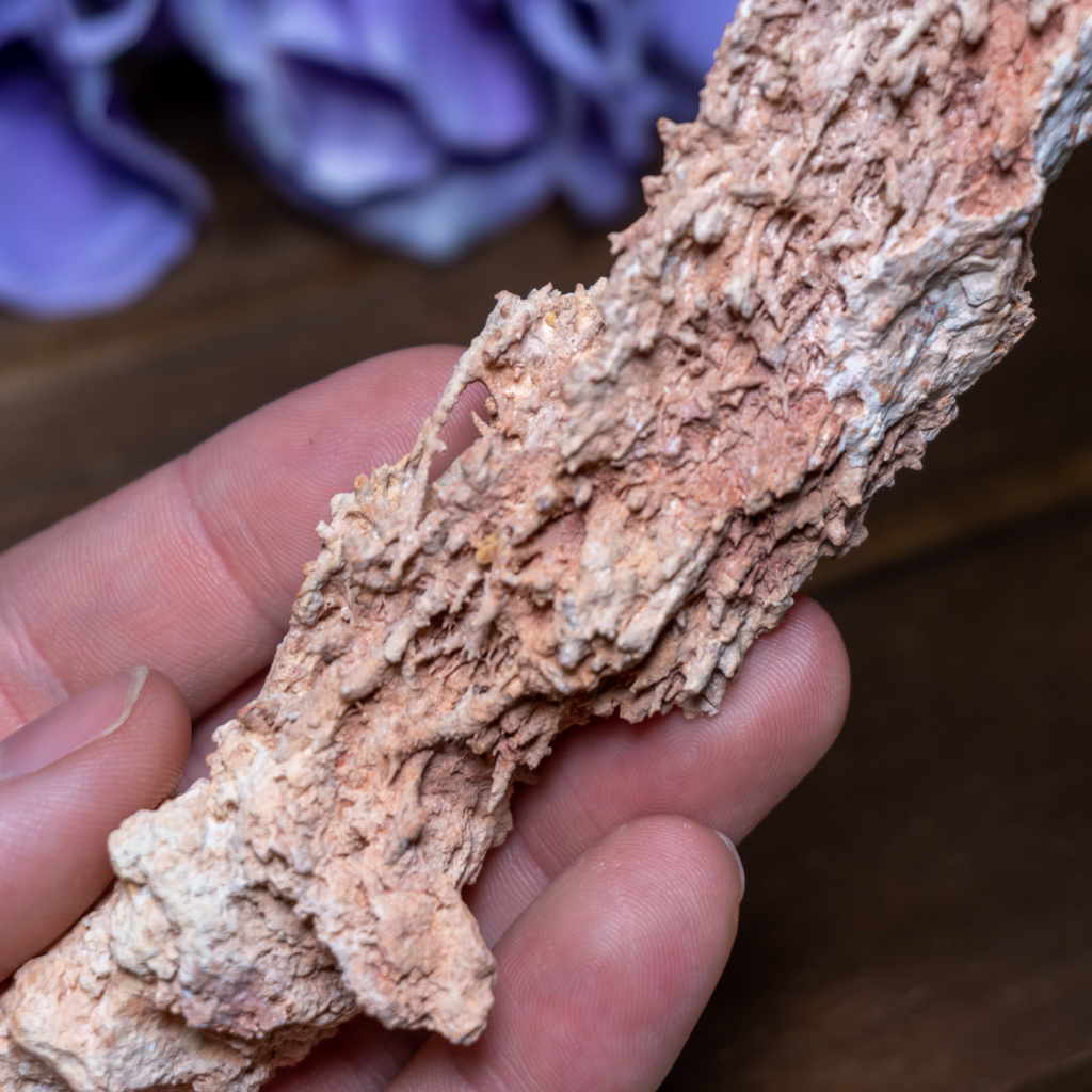 Fulgurite #9 - The Crystal Council