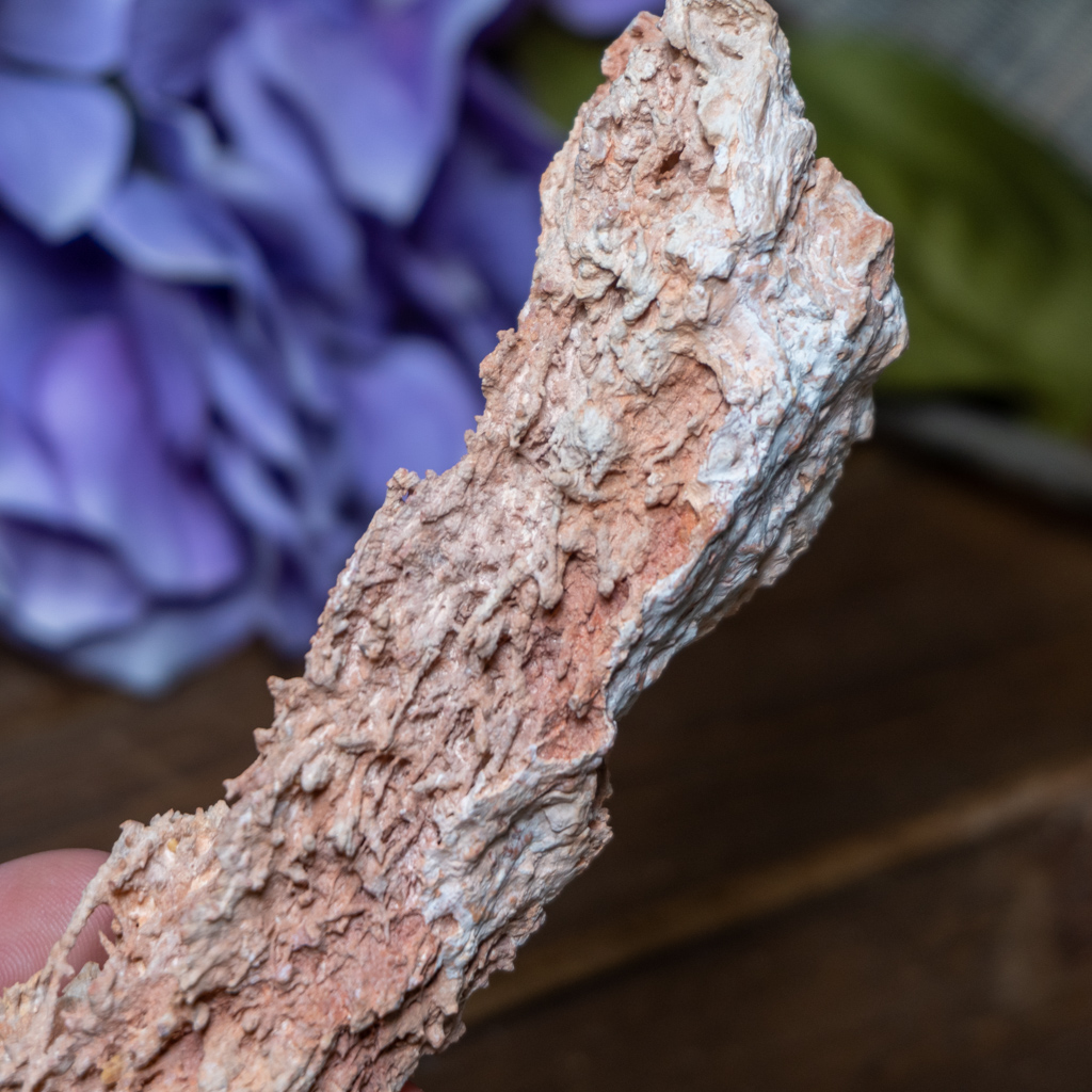 Fulgurite #9 - The Crystal Council