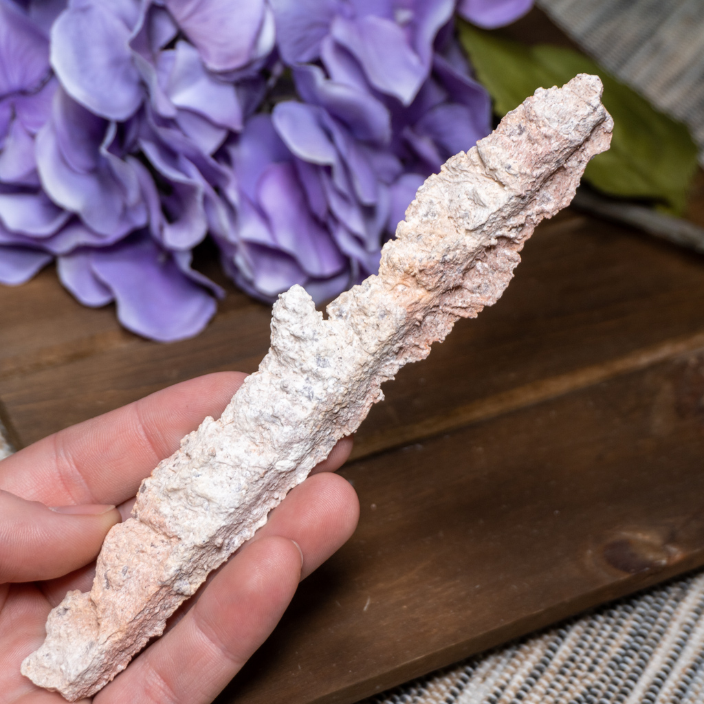 Fulgurite #6 - The Crystal Council