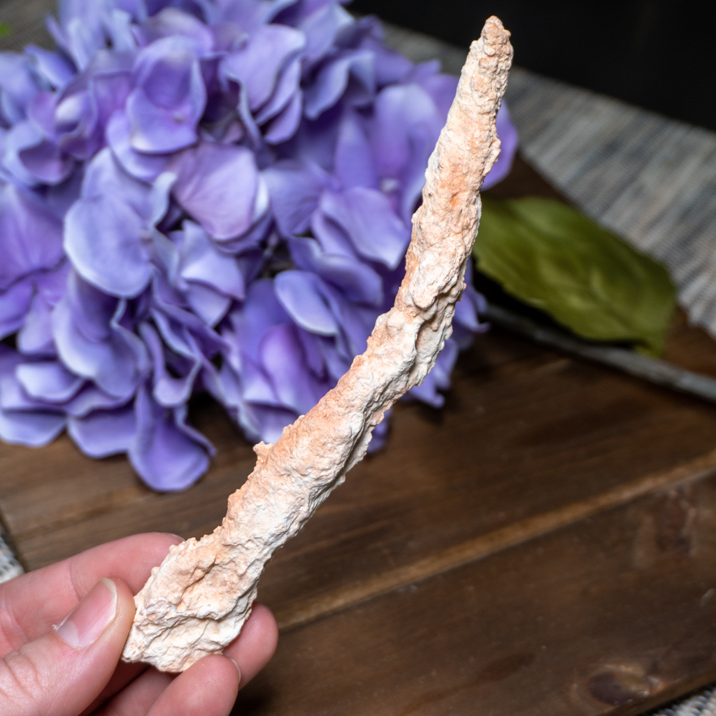 Fulgurite #4 - The Crystal Council