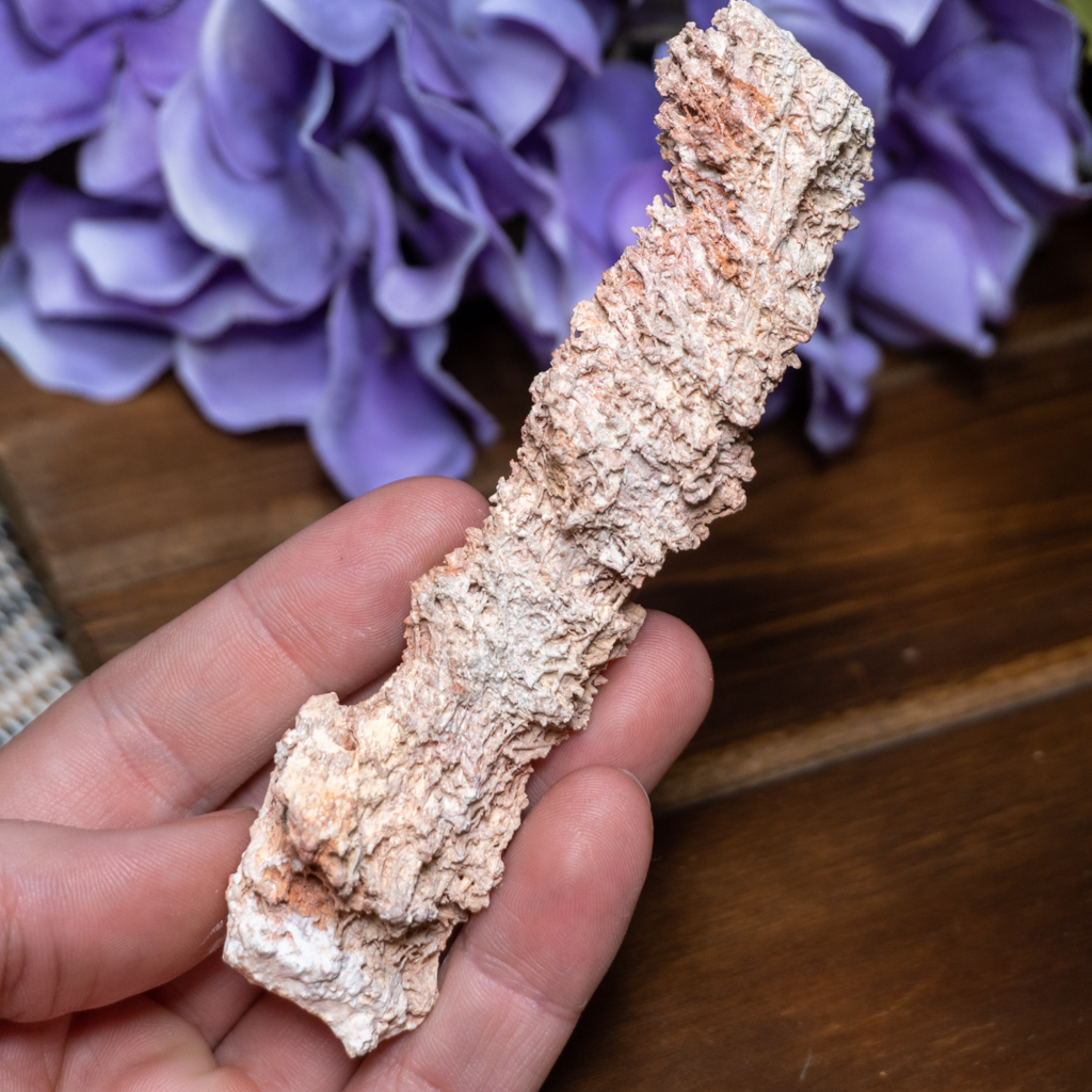 Fulgurite #1 - The Crystal Council