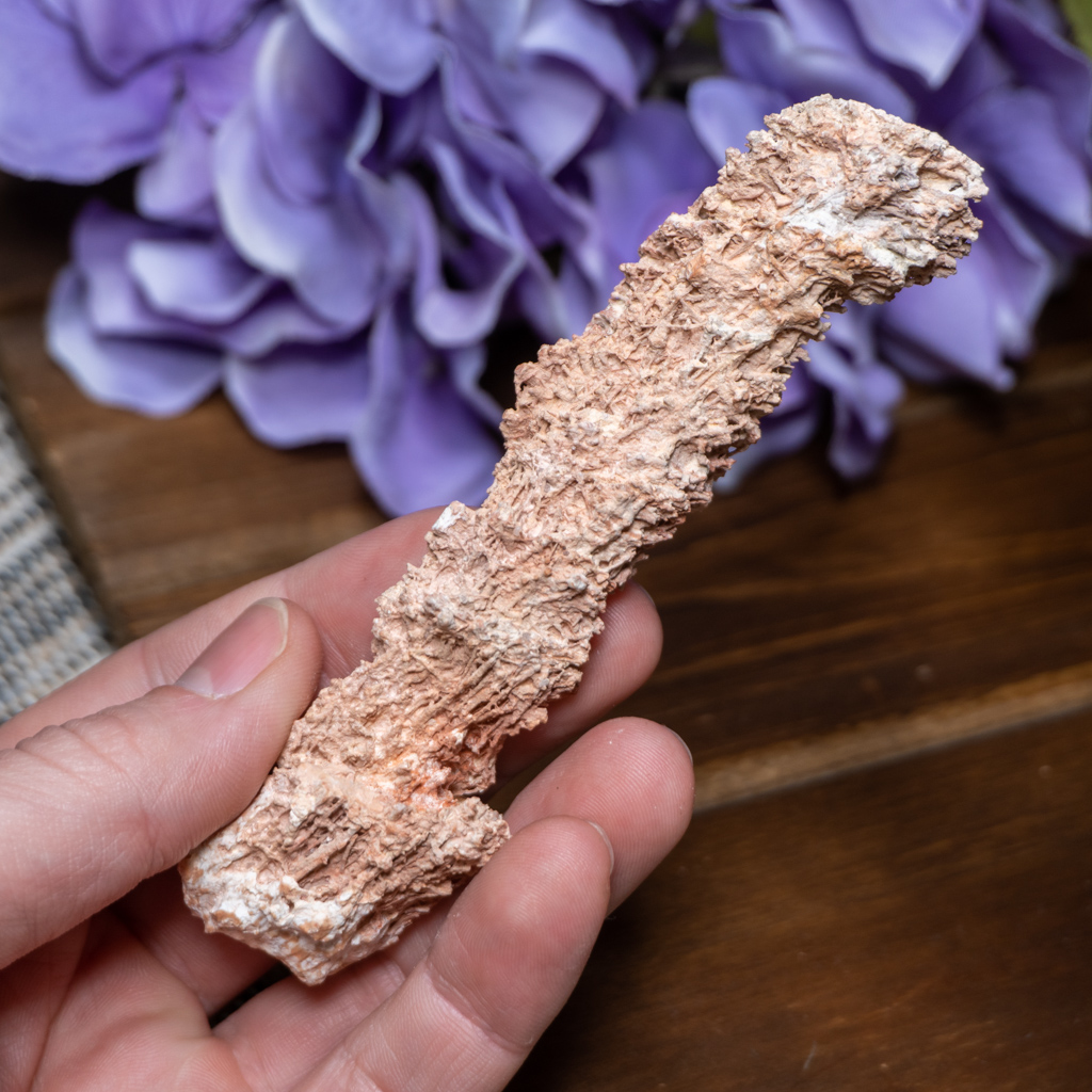 Fulgurite #1 - The Crystal Council