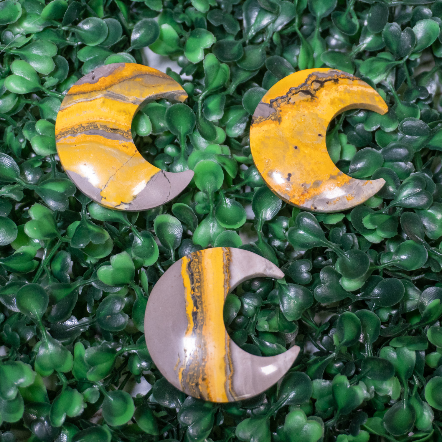 Bumblebee Jasper Moon - The Crystal Council