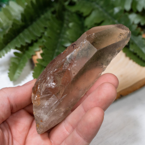 Lightning Quartz #1 - The Crystal Council