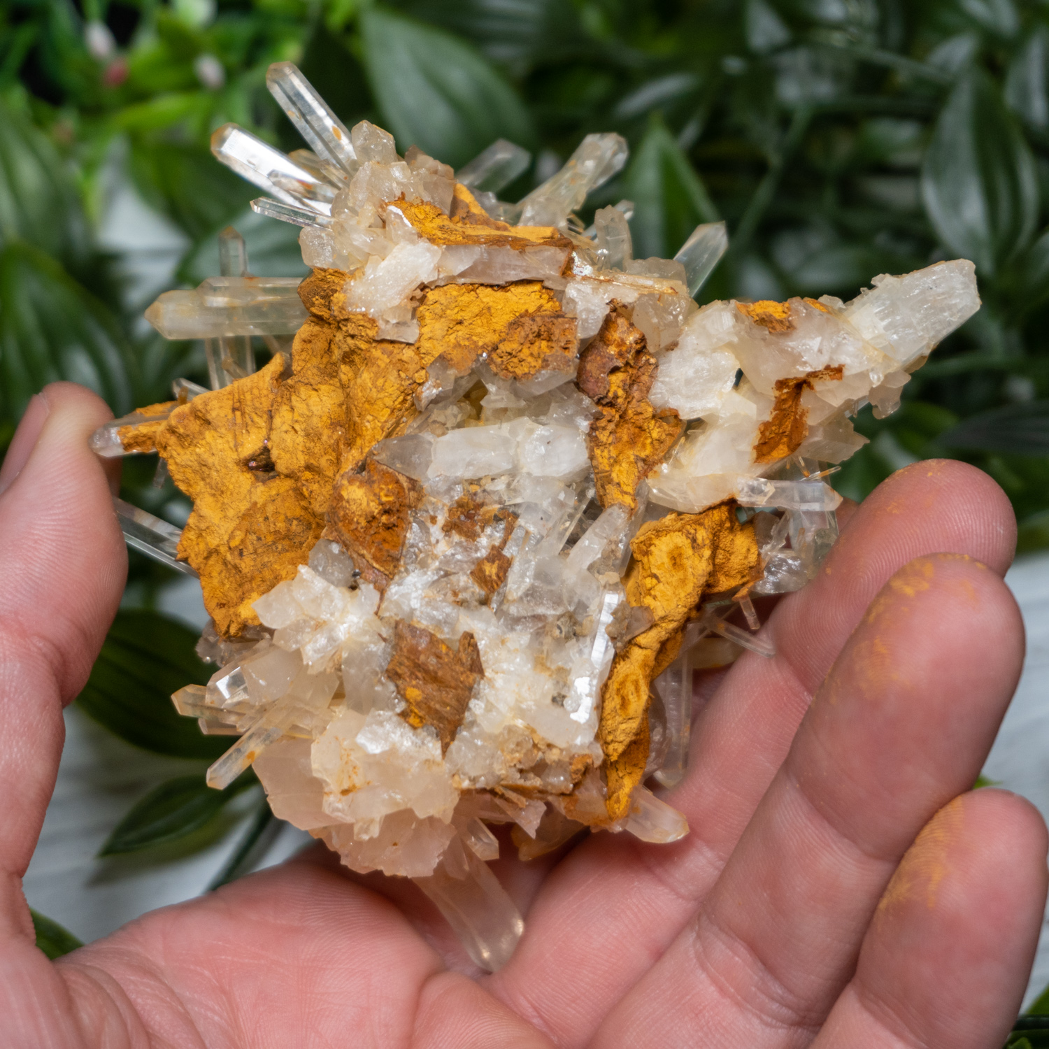 Mango Quartz #2 - The Crystal Council