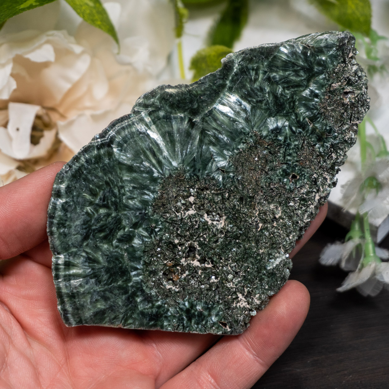 Seraphinite Slab #8 - The Crystal Council