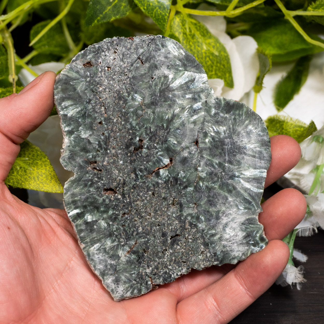 Seraphinite Slab #5 - The Crystal Council