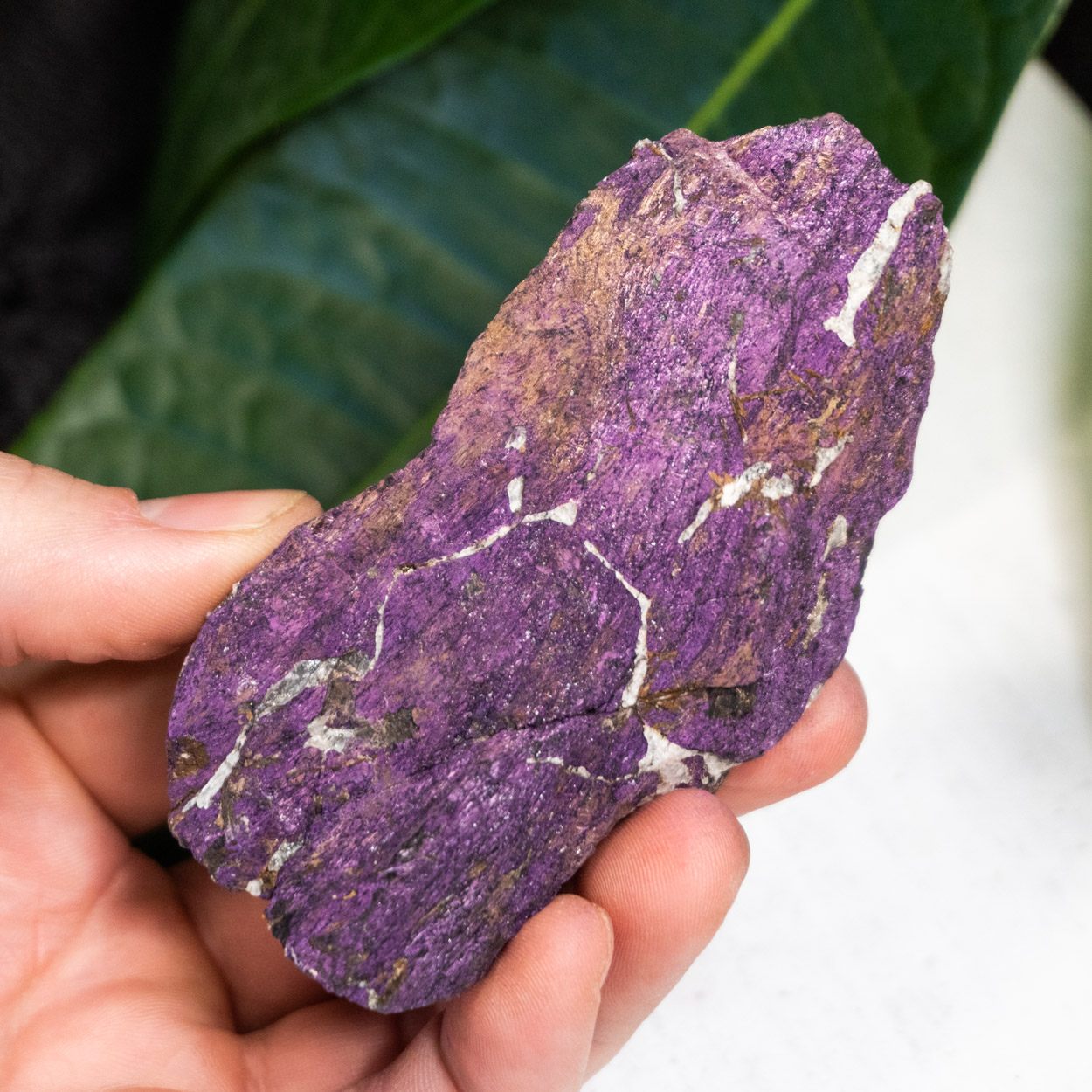 Purpurite #7 - The Crystal Council