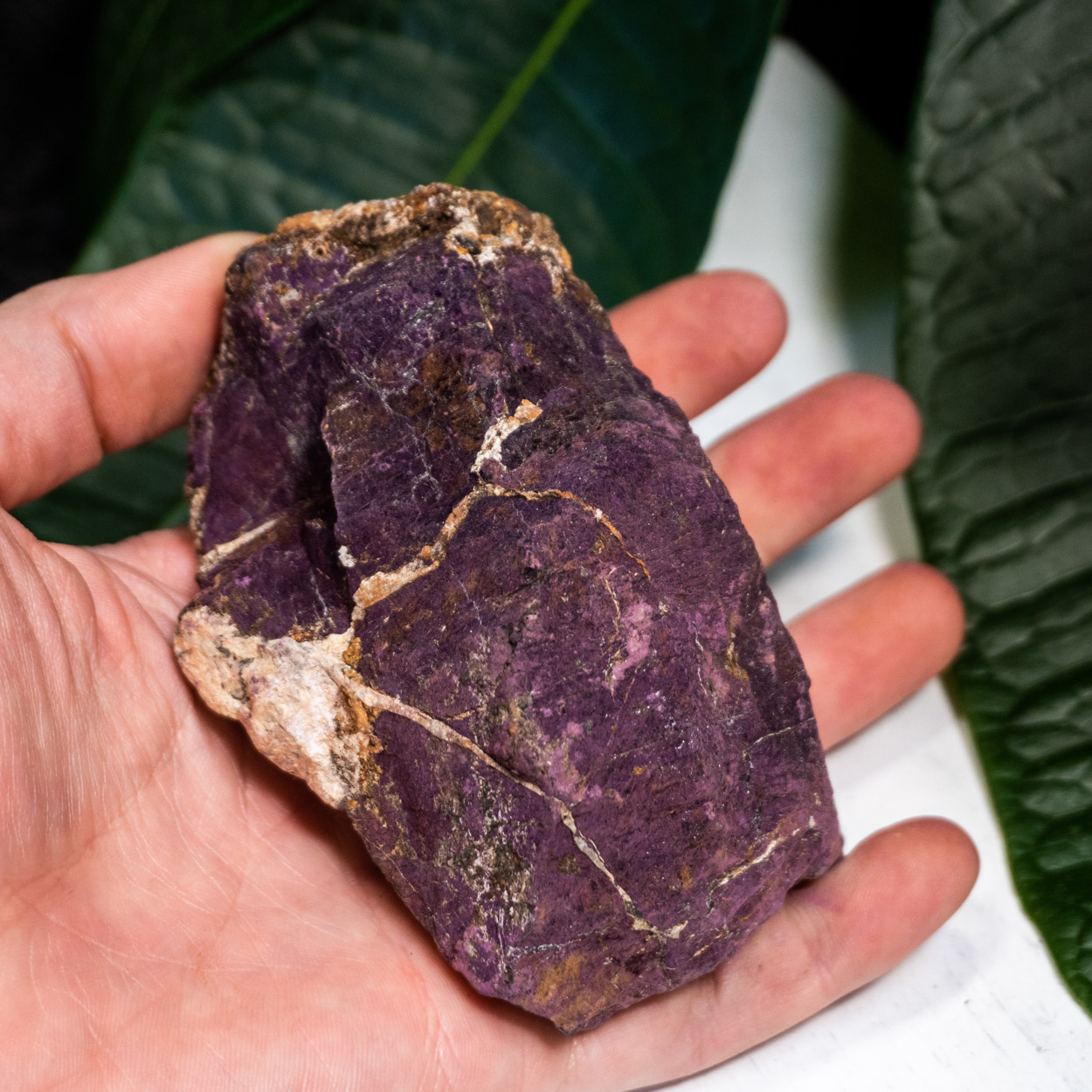 Purpurite #4 - The Crystal Council