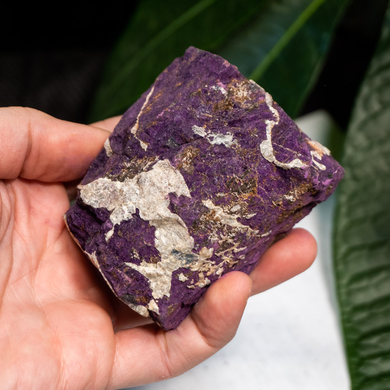 Purpurite #2 - The Crystal Council