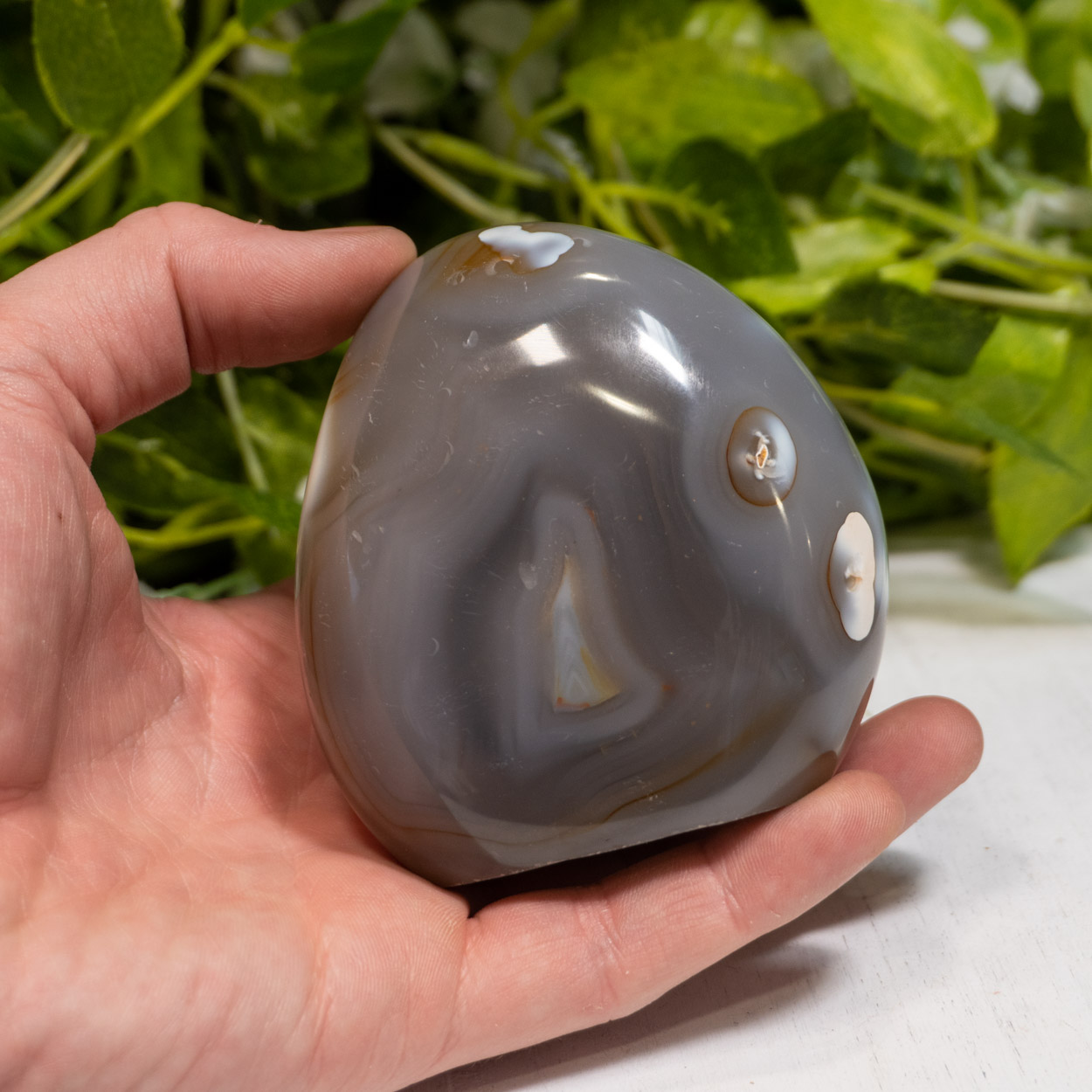 Orca Agate Freeform #6 - The Crystal Council