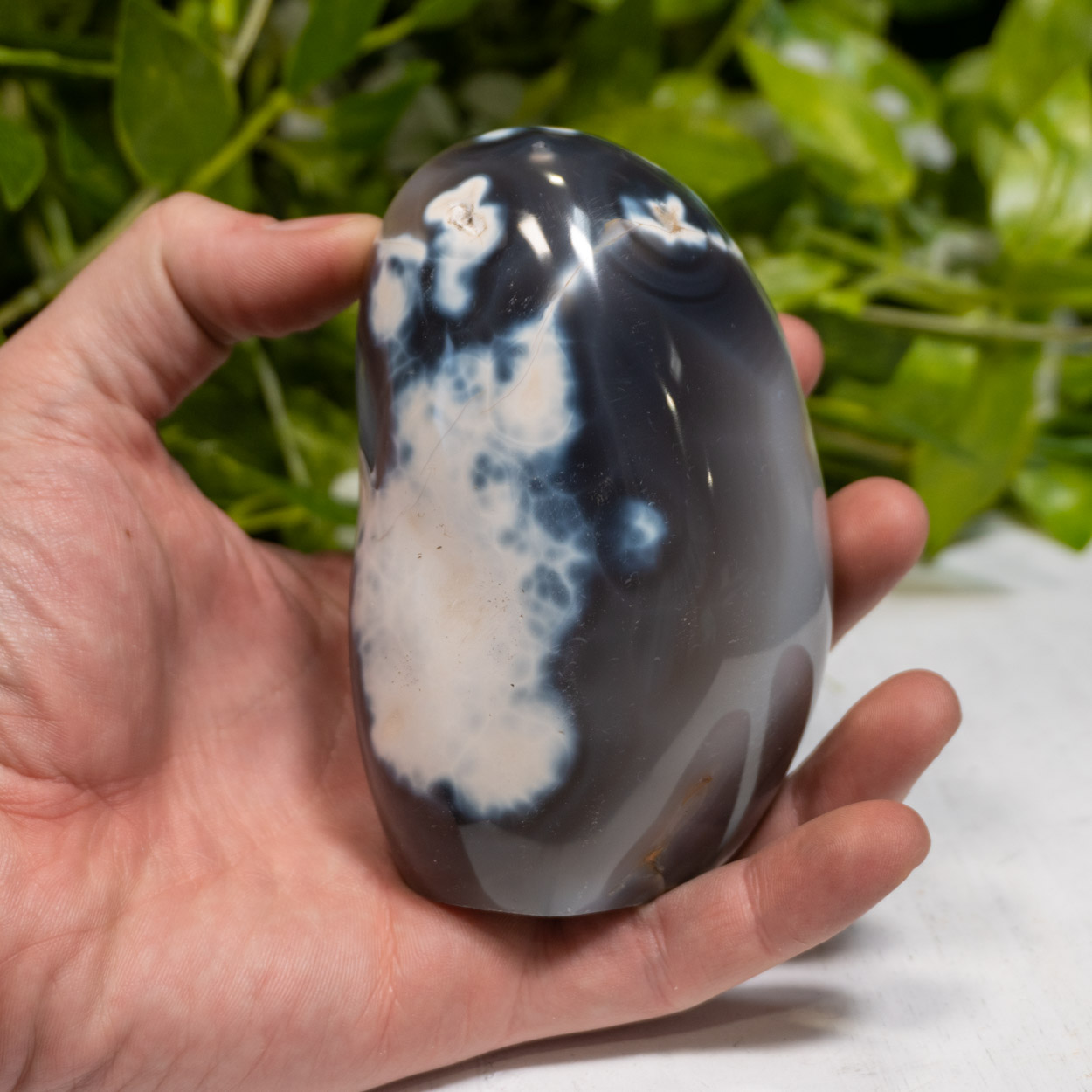 Orca Agate Freeform #6 - The Crystal Council