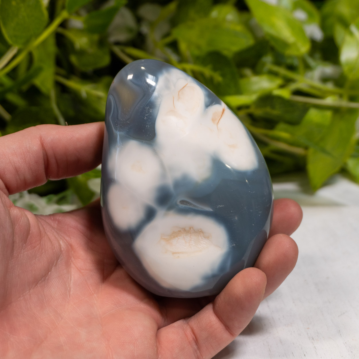 Orca Agate Freeform #2 - The Crystal Council