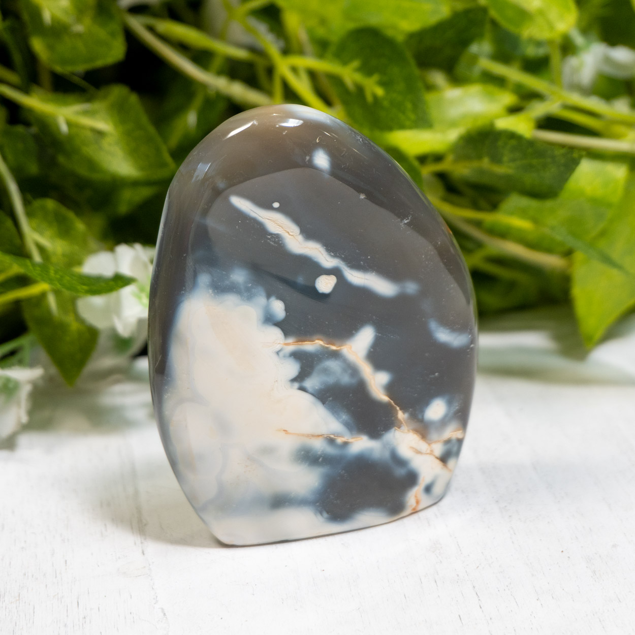 Orca Agate Freeform #1 - The Crystal Council