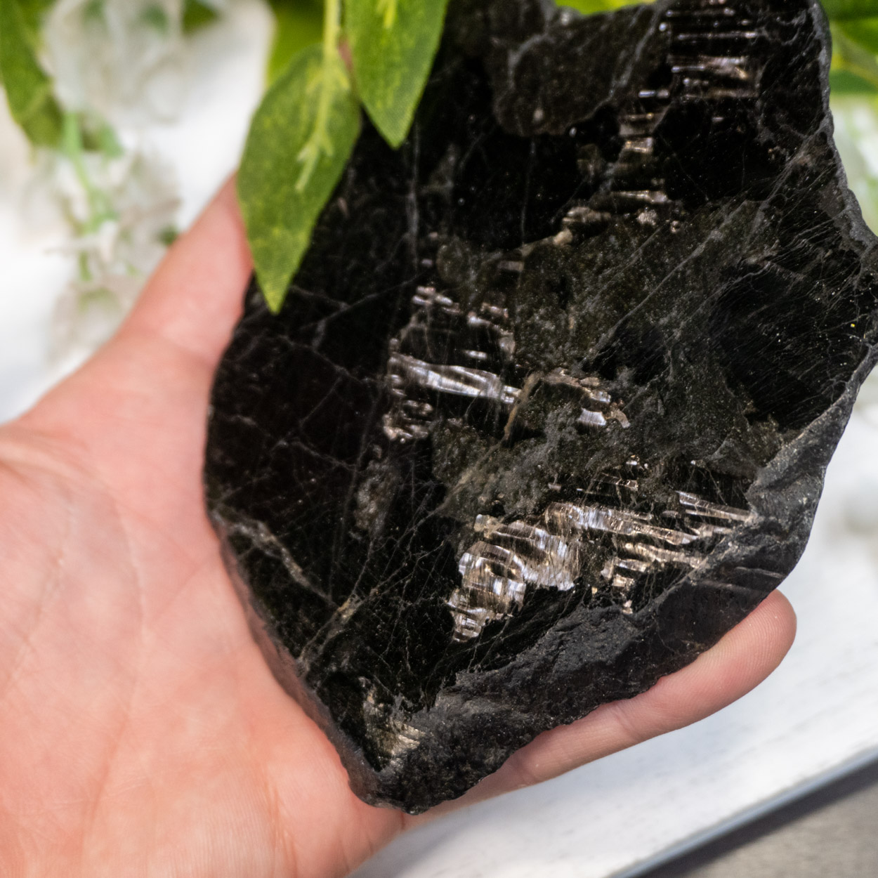 Large Hypersthene Slab #3 - The Crystal Council