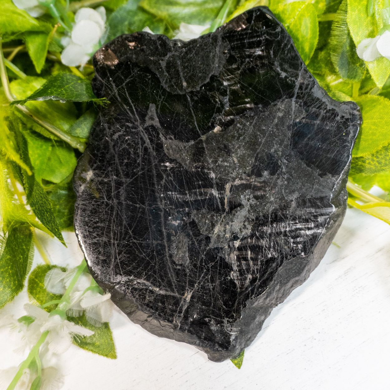 Large Hypersthene Slab #3 - The Crystal Council