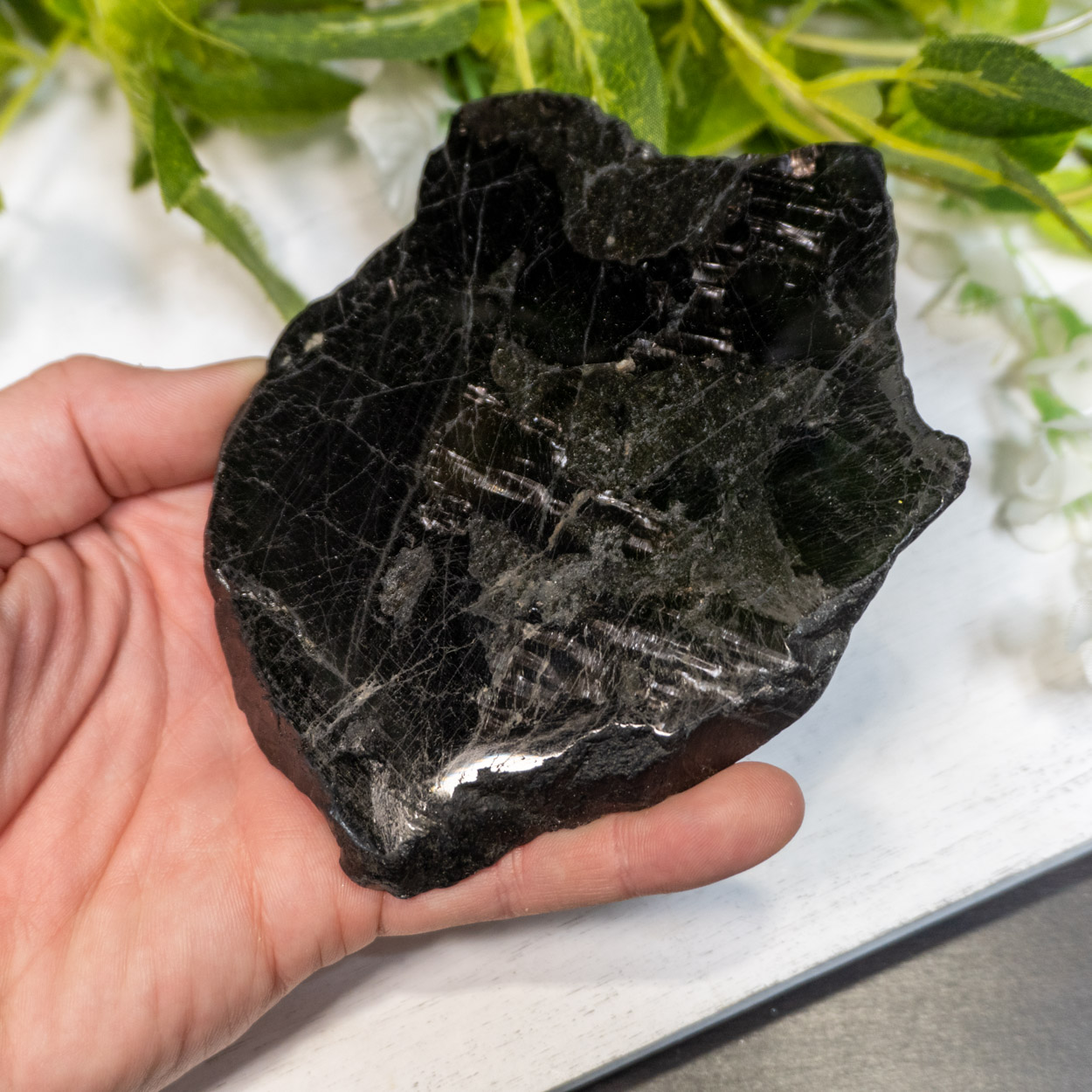 Large Hypersthene Slab #3 - The Crystal Council