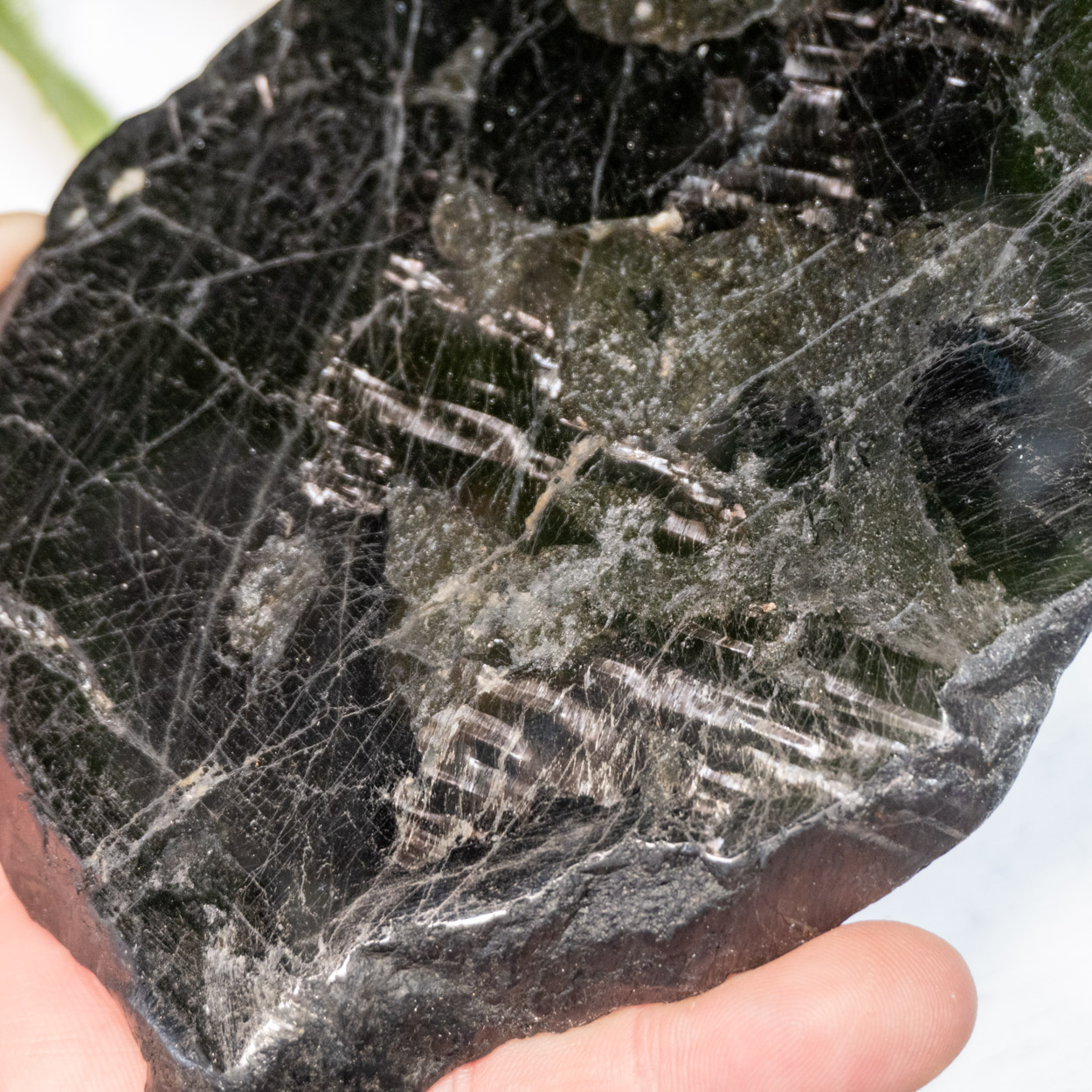 Large Hypersthene Slab #3 - The Crystal Council