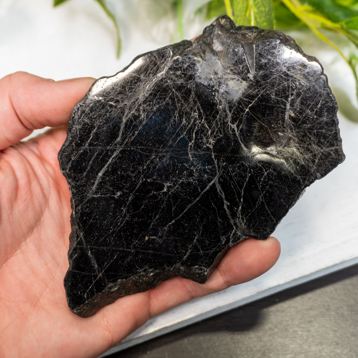 Large Hypersthene Slab #2 - The Crystal Council