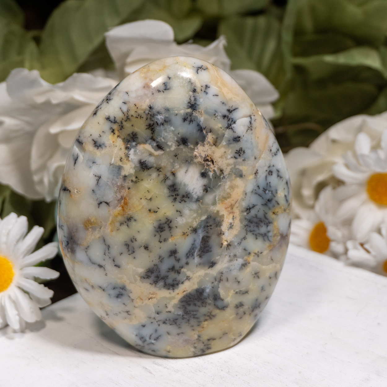 Dendritic Agate Freeform #4 - The Crystal Council
