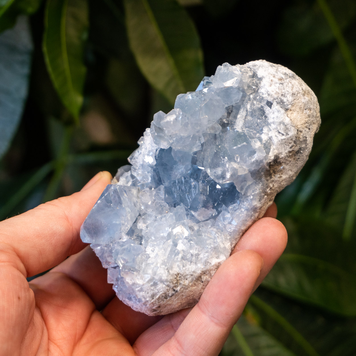 Celestite #19 - The Crystal Council