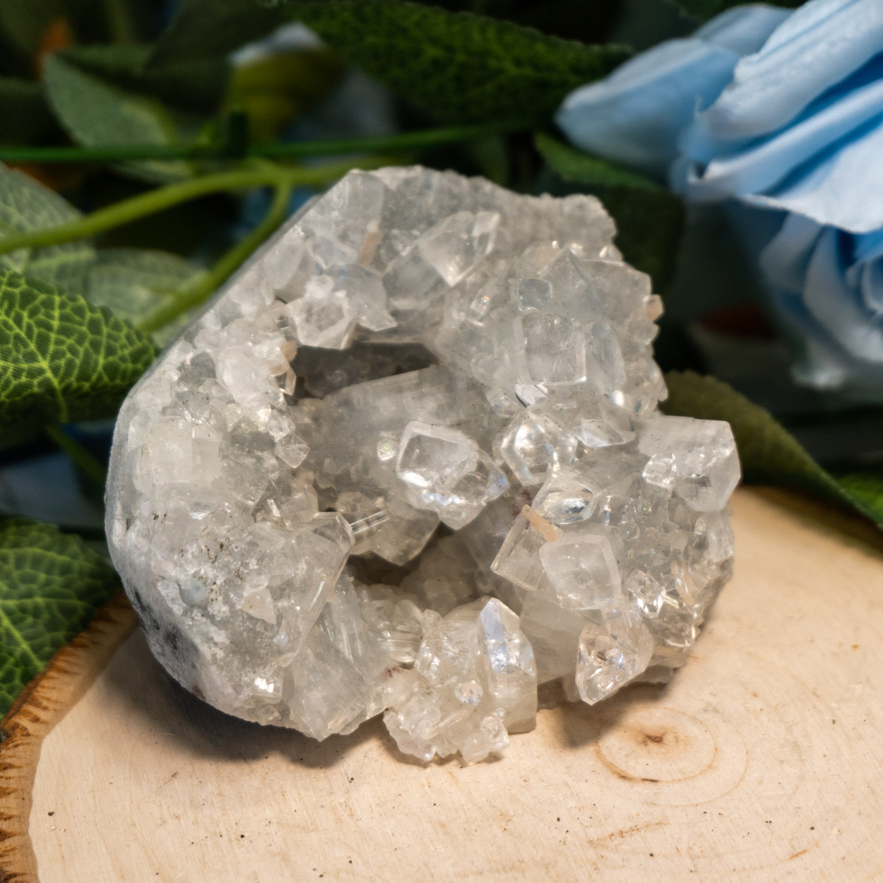 Apophyllite #10 - The Crystal Council