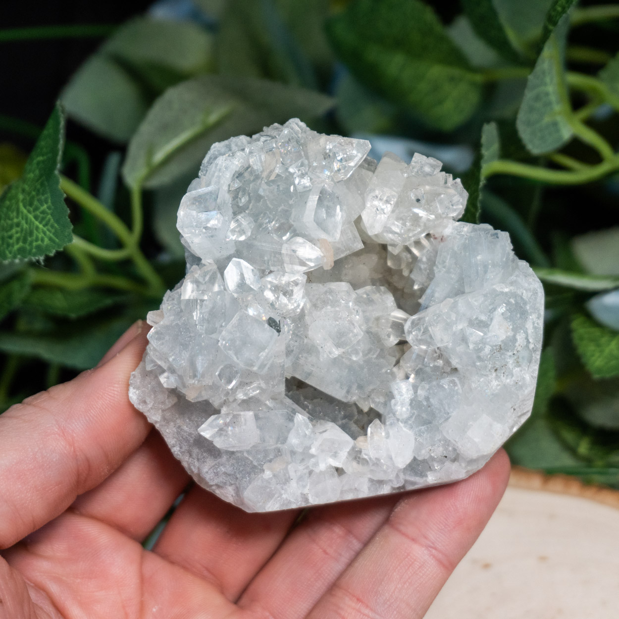 Apophyllite #10 - The Crystal Council