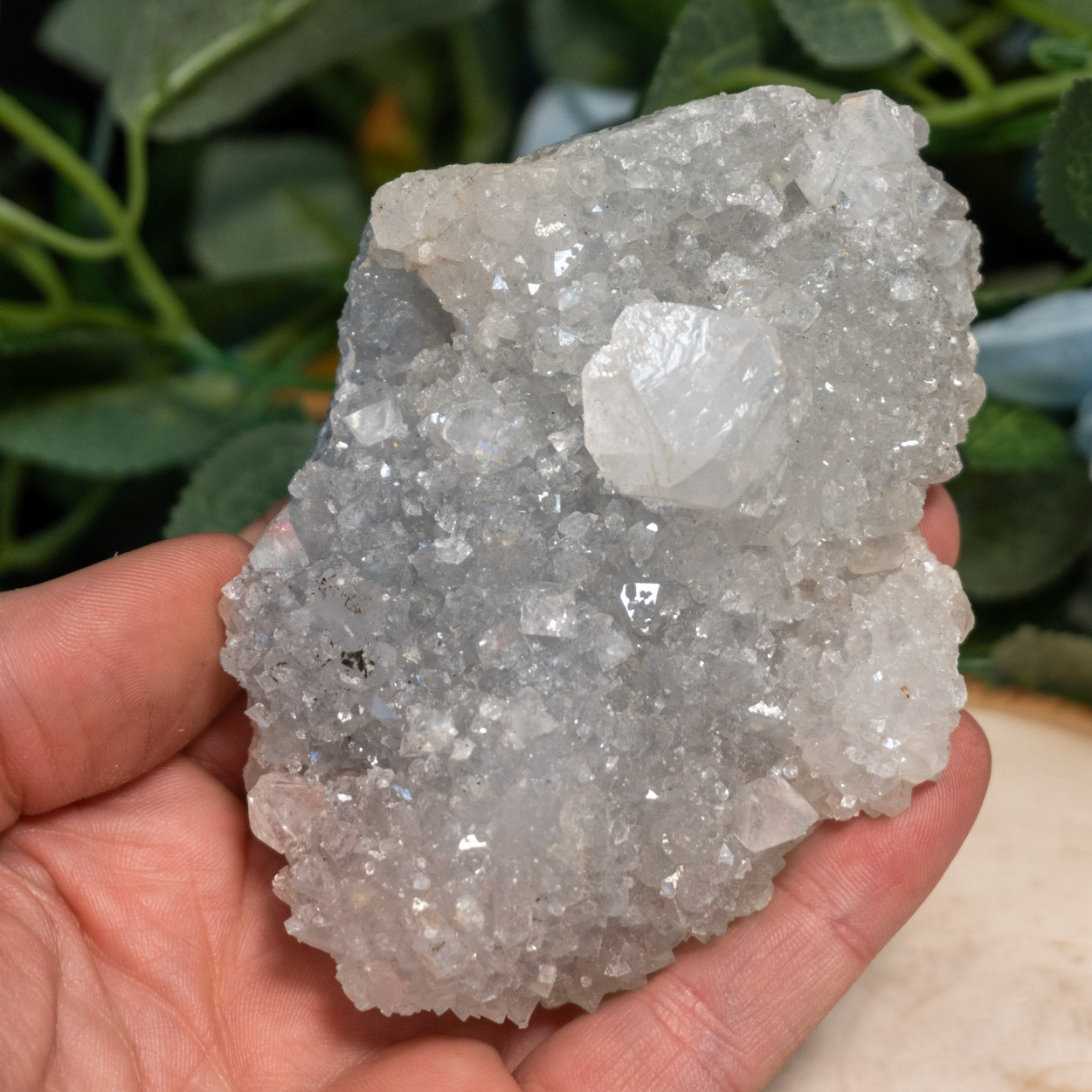 Apophyllite #7 - The Crystal Council