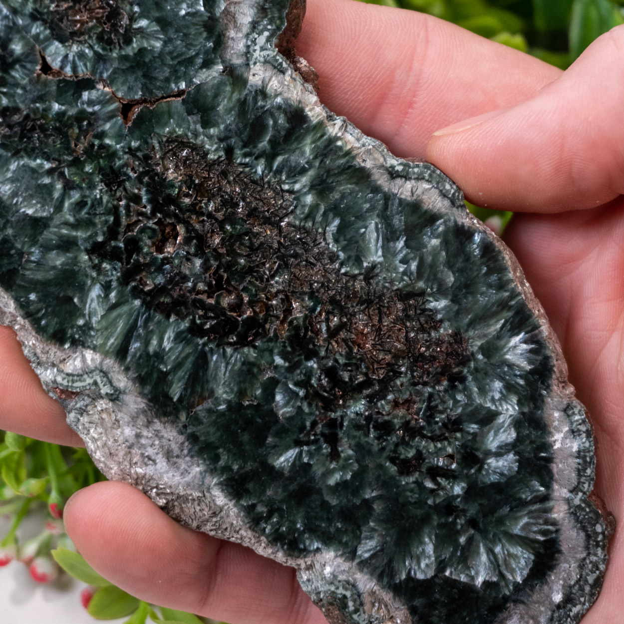 Seraphinite Slab #1 - The Crystal Council