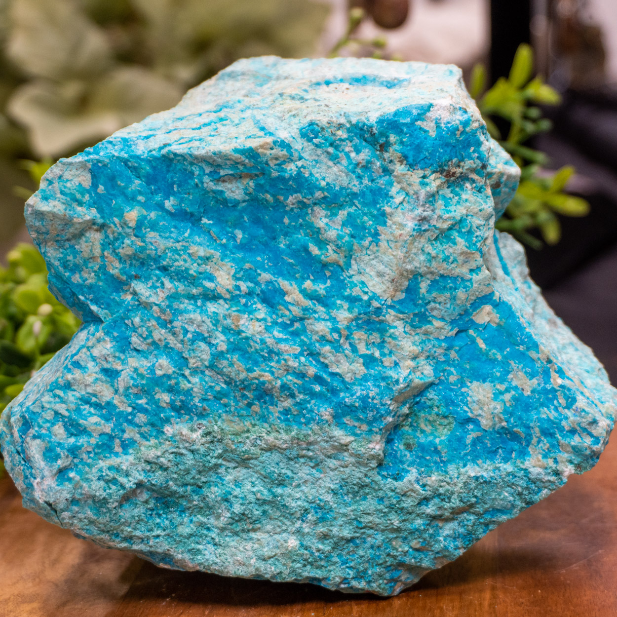 Chrysocolla, Shattuckite, Turquoise, and Malachite Ore - The Crystal ...