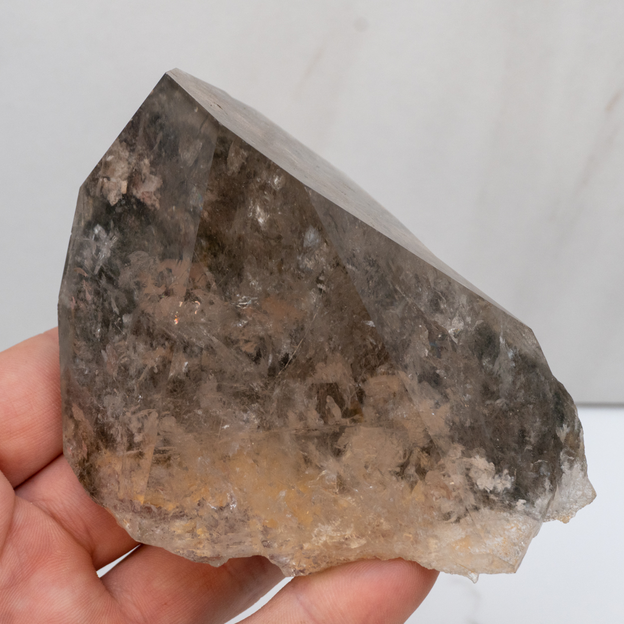 Garden Quartz (Lodolite) #10 - The Crystal Council