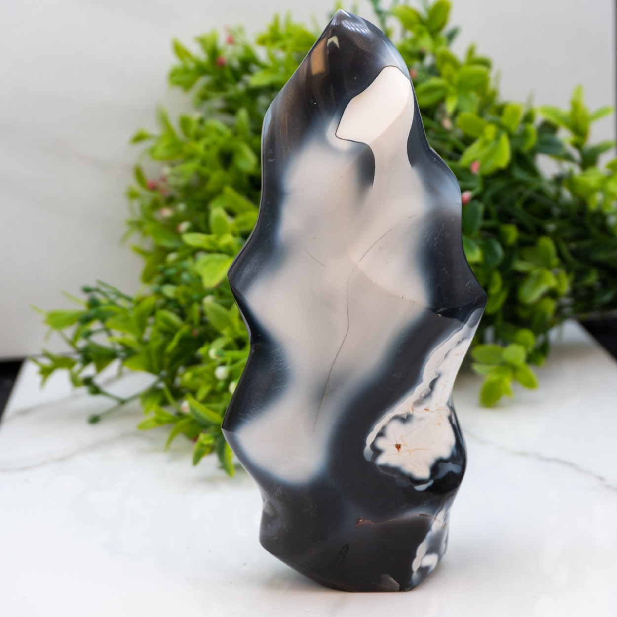 Orca Agate Flame #4 - The Crystal Council