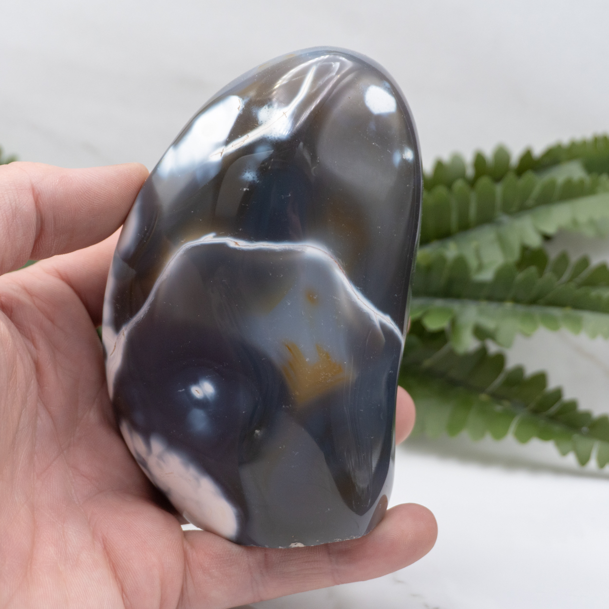 Orca Agate Freeform #8 - The Crystal Council