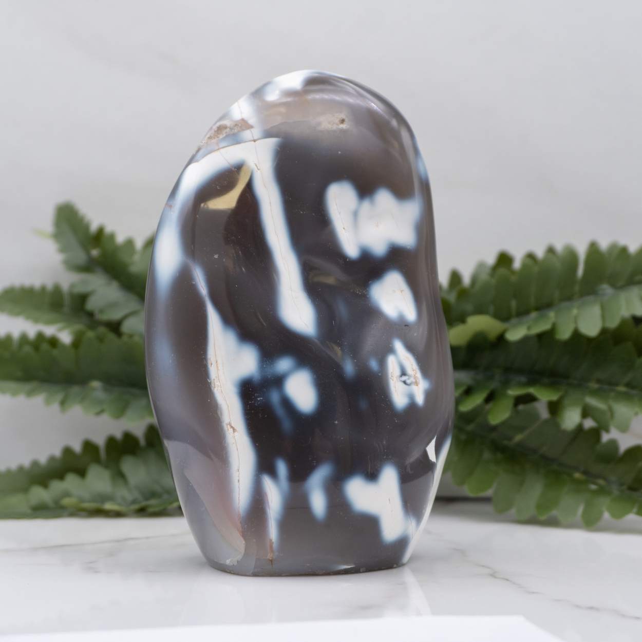 Orca Agate Freeform #4 - The Crystal Council