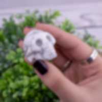 Howlite Skull - The Crystal Council