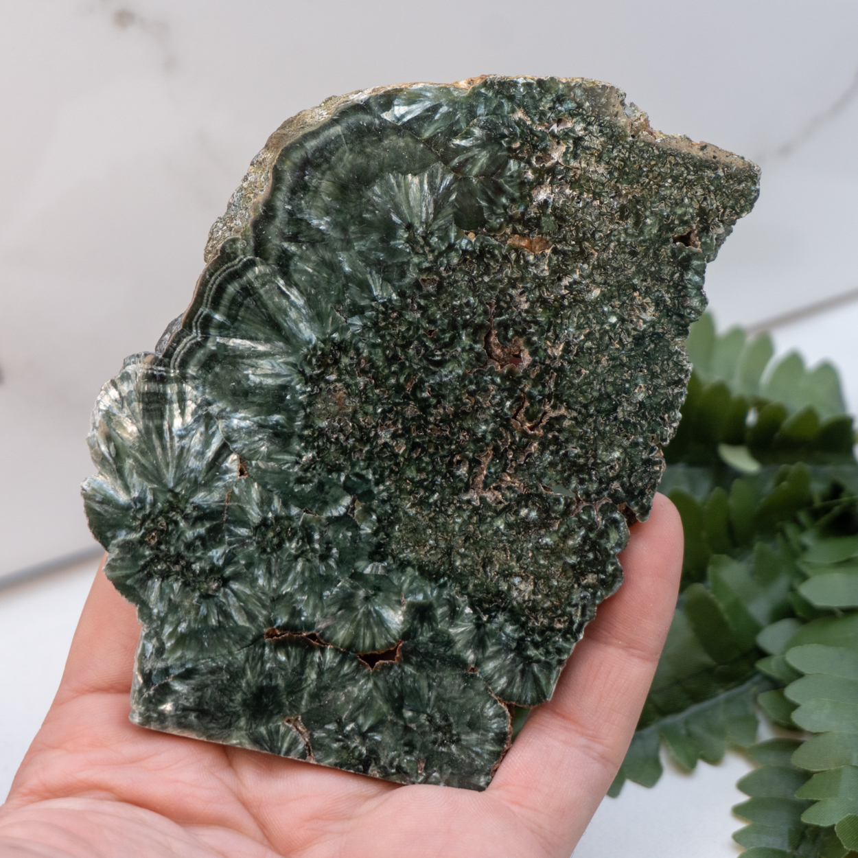 Seraphinite #1 - The Crystal Council
